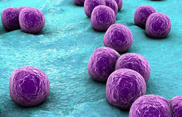 Staph infection & UTis - Kandikrush Healthcare